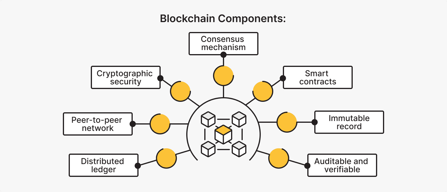 How to Use Blockchain Technology in Software Development