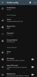 Shadowsocks VPN: what are the differences and how to use Shadowsocks