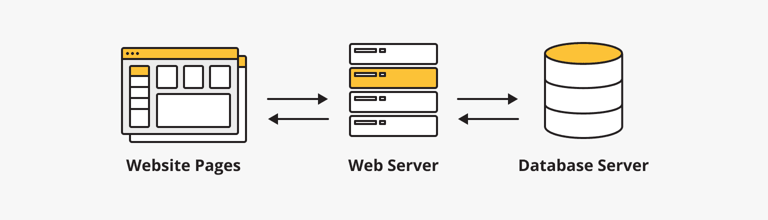 Static vs Dynamic Websites: Key Differences and Use Cases