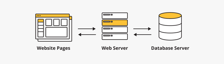 Static vs Dynamic Websites: Key Differences and Use Cases